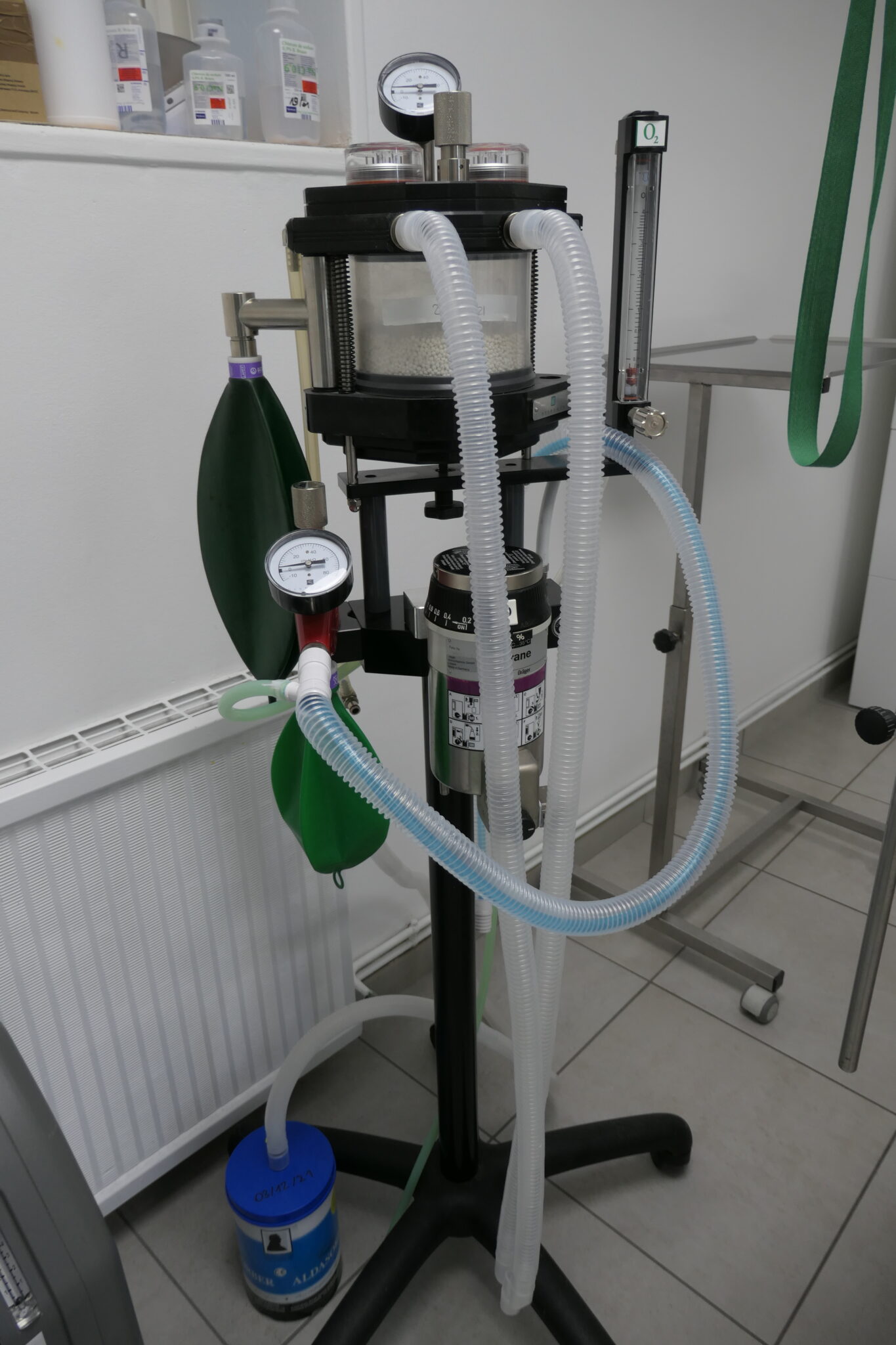 Nos Services – Cabinet Vétérinaire Izovet